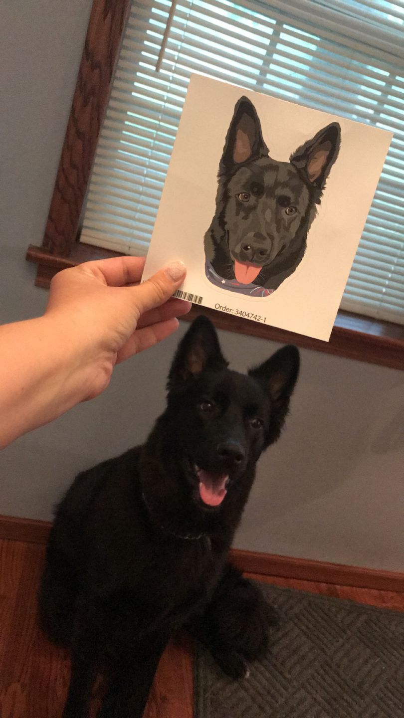 Custom Color Sticker/Decal of Your Pet – My Pet Prints