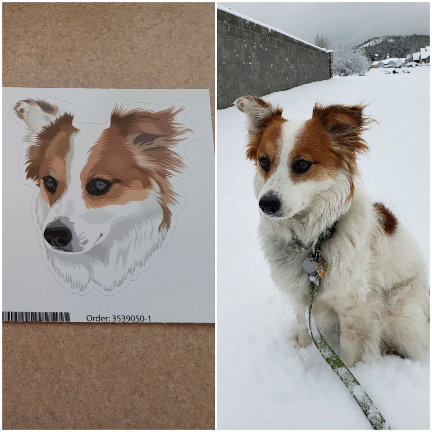 Custom Color Sticker/Decal of Your Pet – My Pet Prints